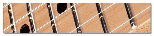 Parts of the Electric Guitar: Information - Electric Guitar Manual